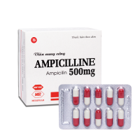 AMPICILLINE 500